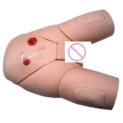 China Female Urine Catheterization Training Model for Medical Colleges' Practical Education for sale