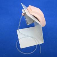 China Subject Medical Science Vivid Female Genitalia Training Bladder Model for Catheterization for sale