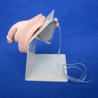 China Male Bladder Model Urethral Catheterization Simulator for Patients Care Demonstration for sale
