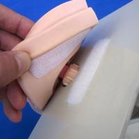 China Male Bladder Model Urethral Catheterization Simulator for Patients Care Demonstration for sale