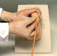 China Male Bladder Model Urethral Catheterization Simulator for Patients Care Demonstration for sale