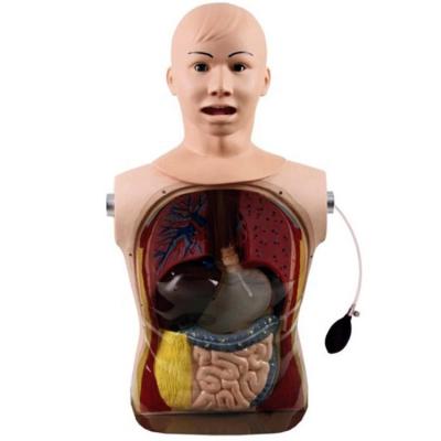 China Innovative Nasal Gastric Tube and Trachea Skills Nursing Manikin with Realistic Features for sale