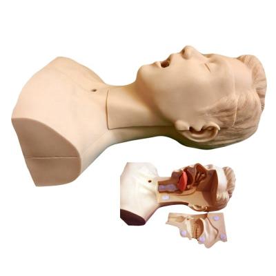 China Schools' Preferred Manikin for Advanced Suction Training and Sputum Suctioning Model for sale