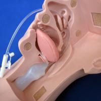China Schools' Preferred Manikin for Advanced Suction Training and Sputum Suctioning Model for sale
