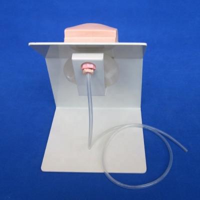 China Realistic Human Manikin for Catheterization Demonstration in Female and Male Patients for sale