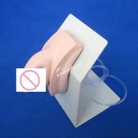 China Realistic Human Manikin Economic Male Catheterization Teaching Simulator Nursing Training Model for sale
