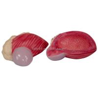 China Advanced PVC Human Male Urinary Bladder Anatomical Model for Medical Professionals for sale