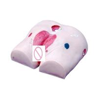 China Human Model Decubitus Ulcer Care Training Simulator for Categories in Medical Science for sale