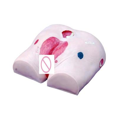 China Human Model Decubitus Ulcer Care Training Simulator for Categories in Medical Science for sale