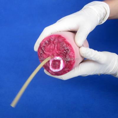 China Arm Amputation and Hemostasis Training Model Vivid Bleeding Wound Nursing Care Module for sale