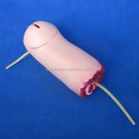 China Arm Amputation and Hemostasis Training Model Vivid Bleeding Wound Nursing Care Module for sale
