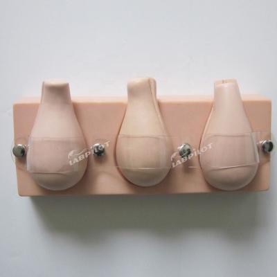 China Patients Care Demonstration Artificial Abortion Simulated Uterus for Training Model for sale