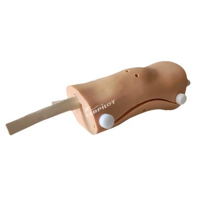 China Human Life Size Arthroscopy Model Knee Joint Medical Teaching Demonstration Simulator for sale
