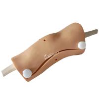 China Human Life Size Arthroscopy Model Knee Joint Medical Teaching Demonstration Simulator for sale