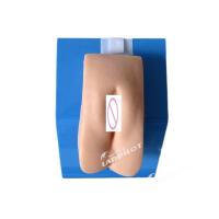 China Simple Catheterization Simulator Female Urethral Catheterization Manikin for sale