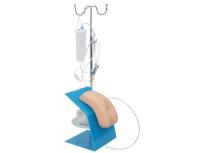 China Simple Catheterization Simulator Female Urethral Catheterization Manikin for sale
