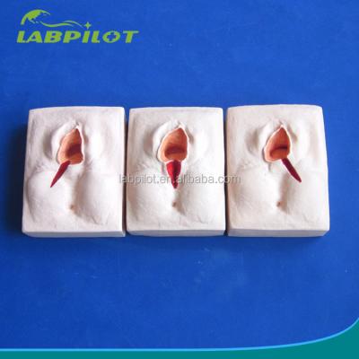 China Advanced PVC Episiorrhaphy Training Simulator for Realistic Vulva Suturing Techniques for sale