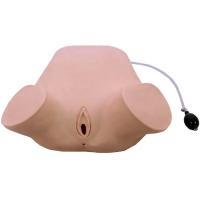 China Advanced PVC Multi-functional Four Maneuvers Leopold Model Rectal and Vaginal Examination Training Manikin for sale