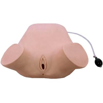 China Advanced PVC Multi-functional Four Maneuvers Leopold Model Rectal and Vaginal Examination Training Manikin for sale