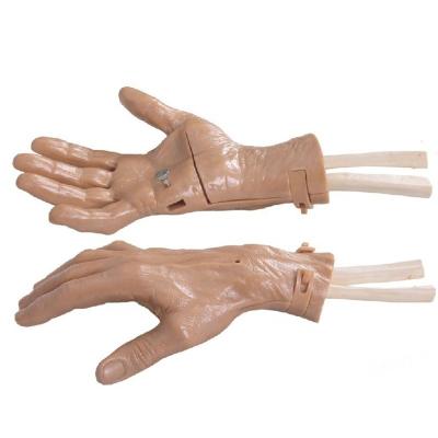 China Realistic Hand Movement Hand Training Recovery Simulator with Vivid Anatomy Structure for sale