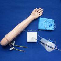 China Intravenous Infusion and Injection Teaching Arm Model for Medical Simulation Practice for sale