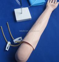 China Intravenous Infusion and Injection Teaching Arm Model for Medical Simulation Practice for sale