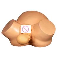 China Realistic Human Life Size Pregnant Simulator for Obstetricians and Medical Education for sale
