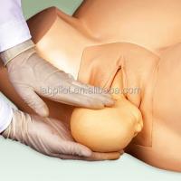 China Realistic Human Life Size Pregnant Simulator for Obstetricians and Medical Education for sale