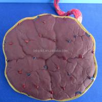 China Medical Science Painted Fetal Circulation Model with Heart Placenta and Umbilical Cord for sale