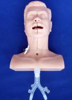 China Versatile Oral and Nasal Cavity Suction Model for Medical Colleges' Clinical Training for sale