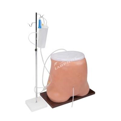 China Human Life Size Peritoneal Dialysis Training Simulator Model with Advanced PVC Material for sale