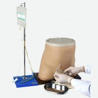 China Human Life Size Peritoneal Dialysis Training Simulator Model with Advanced PVC Material for sale
