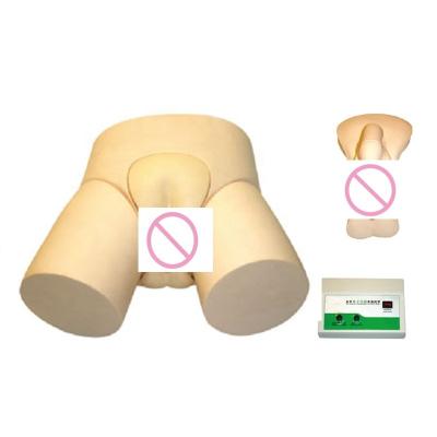 China Advanced PVC Electronic Urethral Catheterization and Enema Training Model for Professional for sale