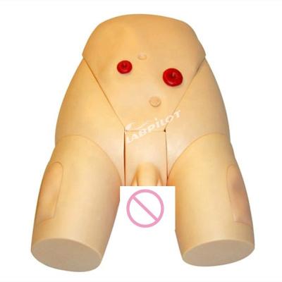 China Male Catheterization IM Injection Model for Medical Science Clinical Nursing Training for sale