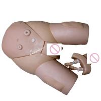 China Male Catheterization IM Injection Model for Medical Science Clinical Nursing Training for sale