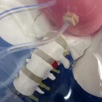 China Experience Realism with this Comprehensive Male Urethral Catheterization Simulator Training Doll for sale