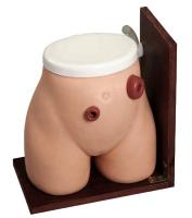 China Enema Skills Teaching Manikin The Perfect Training Tool for Medical Fistula Stoma Care for sale
