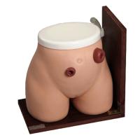 China Enema Skills Teaching Manikin The Perfect Training Tool for Medical Fistula Stoma Care for sale
