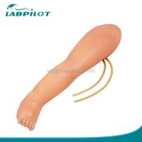 China Infant Venipuncture Training Leg IV Injection Simulator with Advantage of Advanced PVC for sale