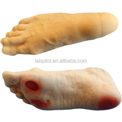 China Diabetic Foot Nursing Simulator Model Featuring Enema Skills Teaching Manikin for sale