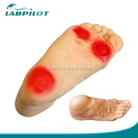 China Diabetic Foot Nursing Simulator Model Featuring Enema Skills Teaching Manikin for sale