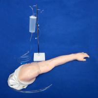 China Full-functional Advanced PVC Venous Transfusion and Injection Arm IV Training Model for sale