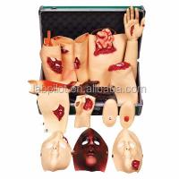 China Trauma Simulator for Manikin Training Gun Wound Burn Wound Laceration Fracture Amputation Wound Care for sale