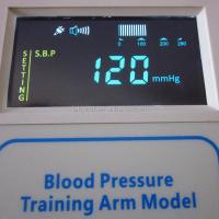 China Advanced PVC Manikin for Medical Practice Arm Simulation and BP Measurement Training for sale