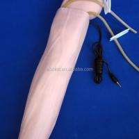 China Advanced PVC Manikin for Medical Practice Arm Simulation and BP Measurement Training for sale