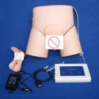 China Advanced PVC Controller-operated Nursing Catheterization Manikin for Human Life Size for sale