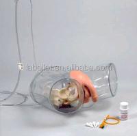 China Manikin for Patients Care Demonstration Transparent Urethral Catheterization Training for sale