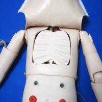 China Professional Nurse School Manikin for Child CPR and Flexible Pediatric Care Training for sale