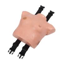 China Advanced PVC Wearable Breast Examination Model for GYN Skills Teaching Anatomy Lesson for sale