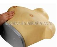 China Advanced PVC Wearable Breast Examination Model for GYN Skills Teaching Anatomy Lesson for sale